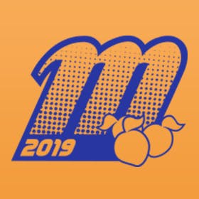 MomoCon 2019, the way of the Peaches - Le Pugilat des Étoiles